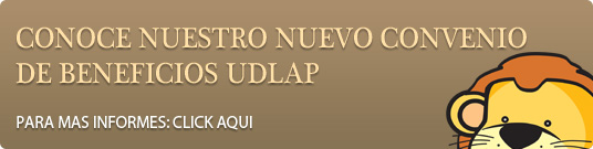 LYNO - GUARDERIA Y KINDER